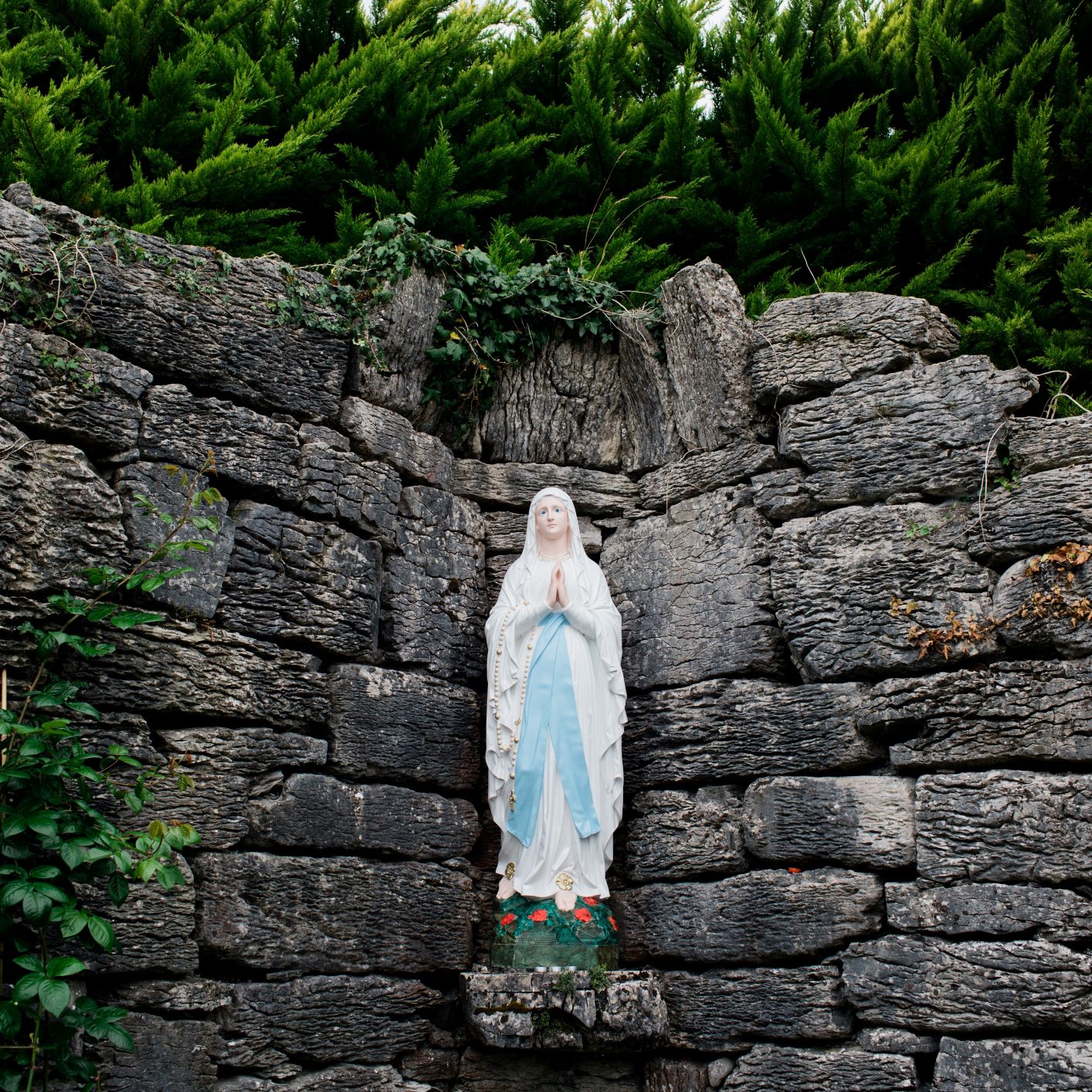 An 'Inside Story' About Lourdes | New Oxford Review