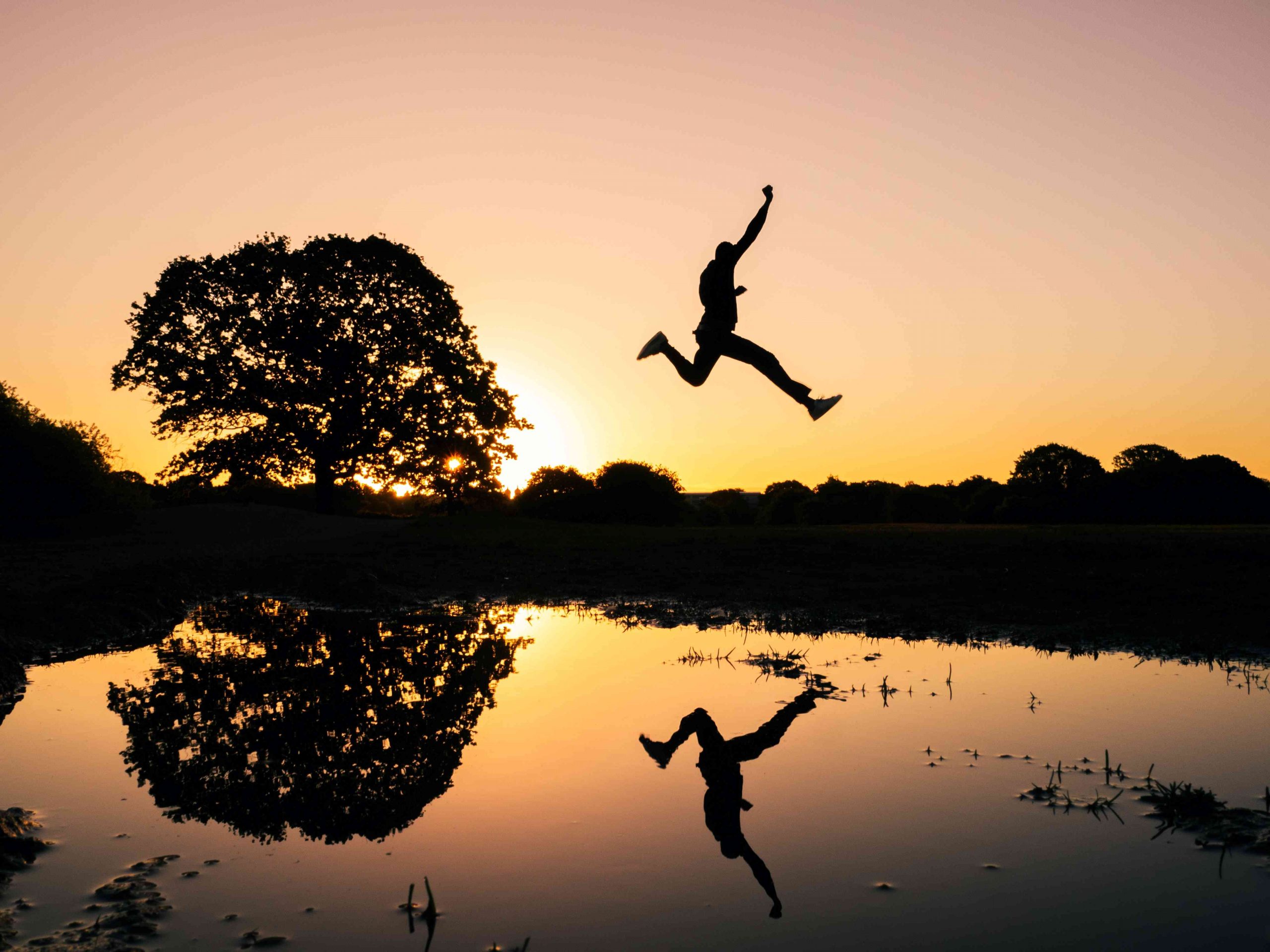 Are All Human Beings Persons? | New Oxford Review
