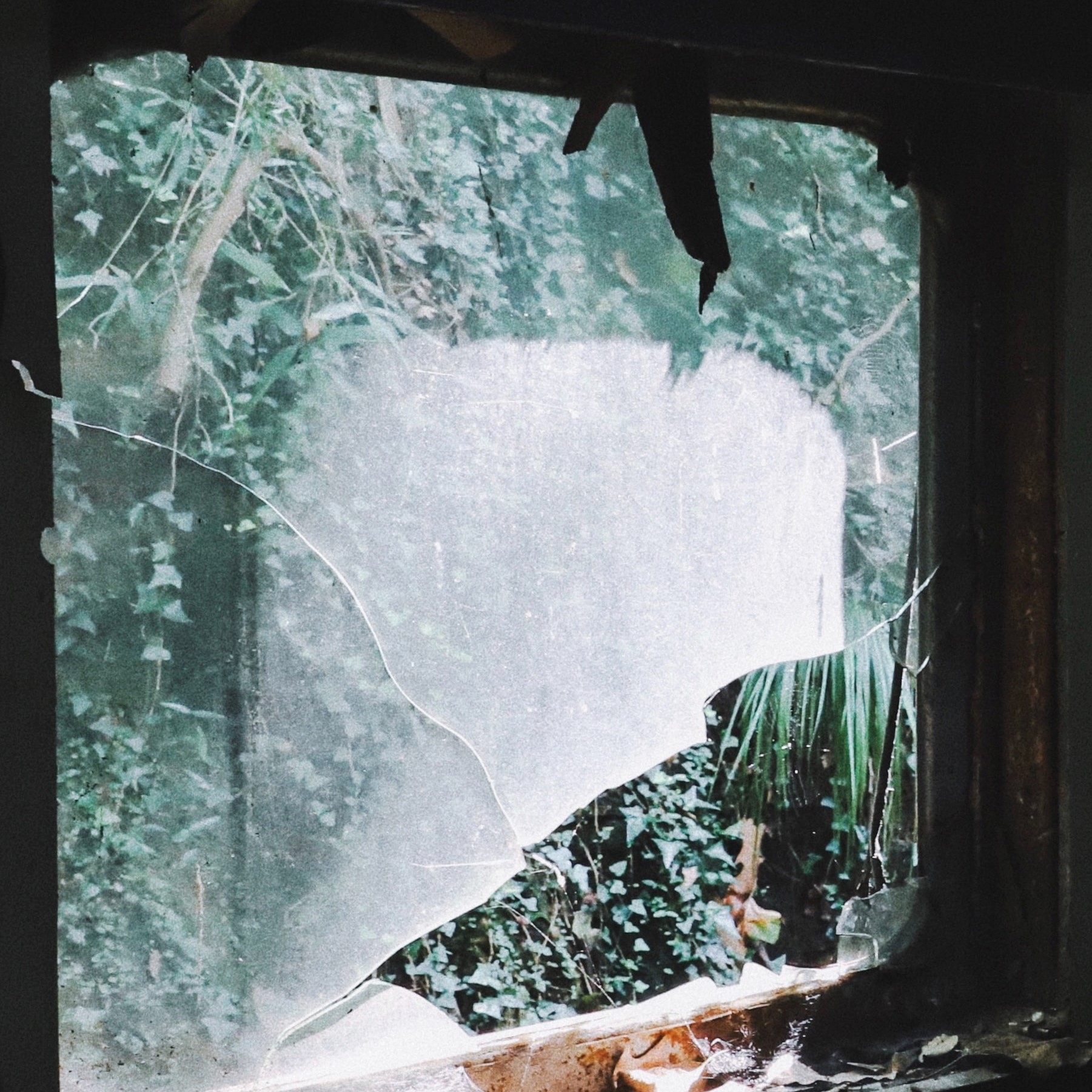 My Soul-Shattering Experience in the Seminary | New Oxford Review