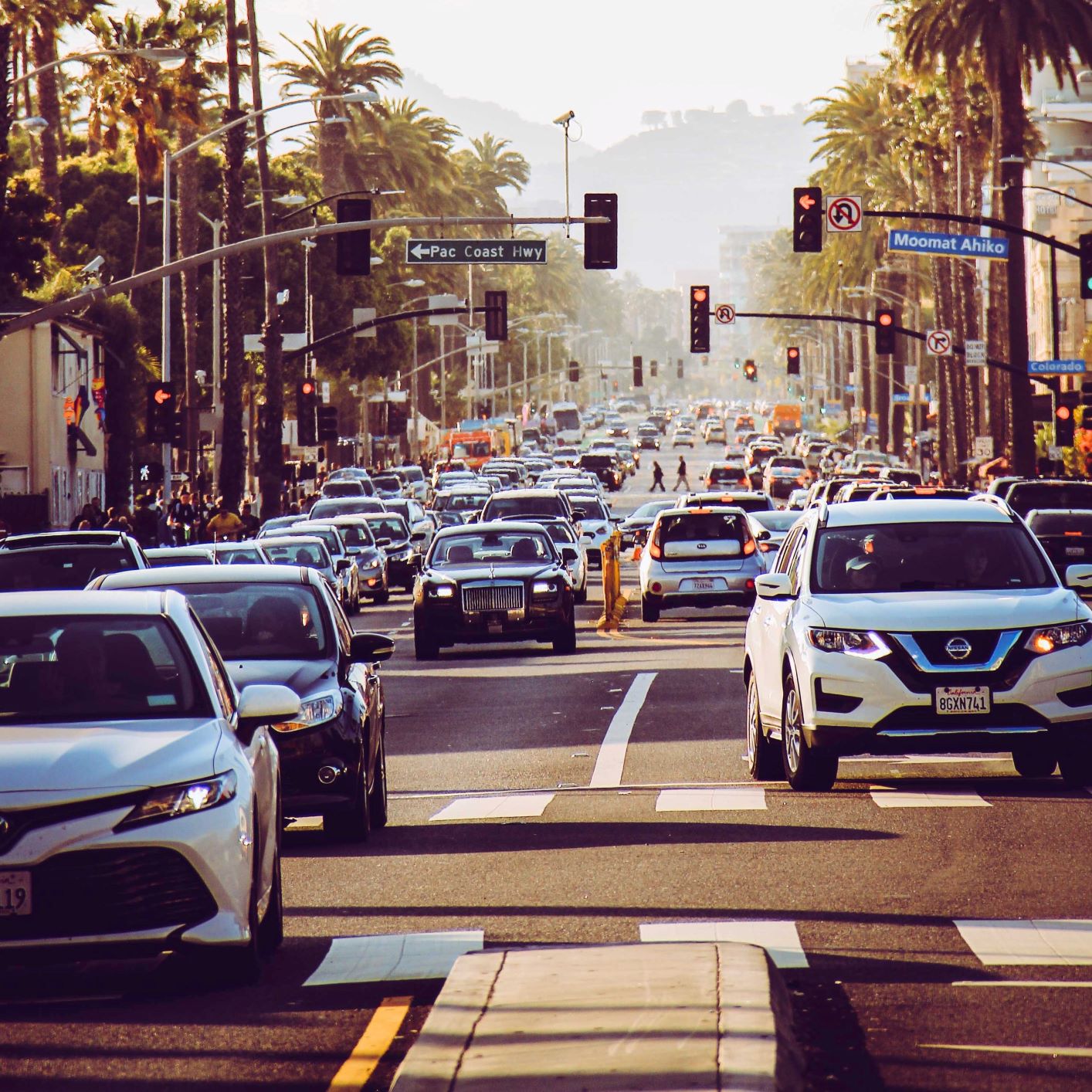 Nanny State | New Oxford Review