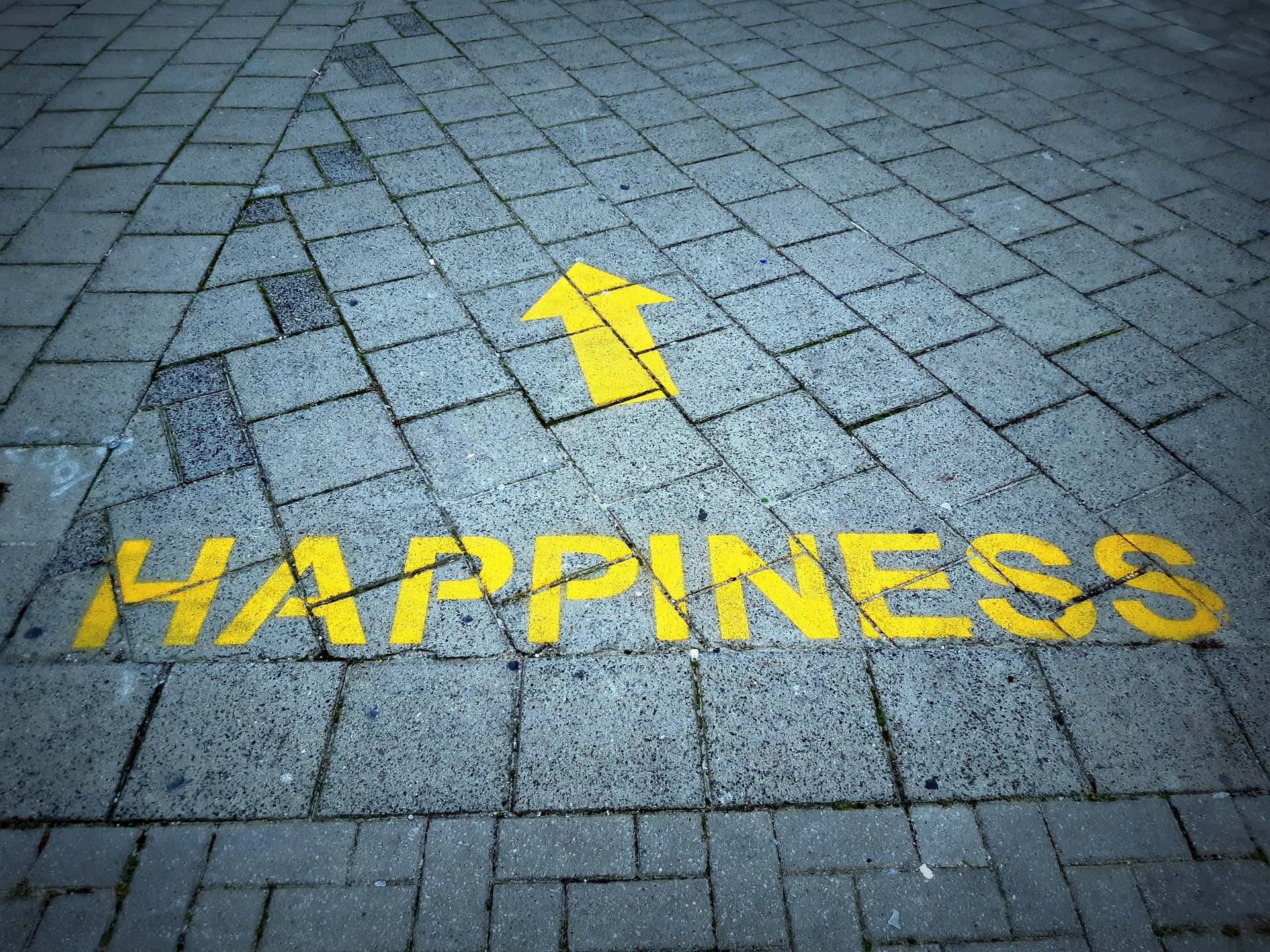 What Is Happiness? | New Oxford Review